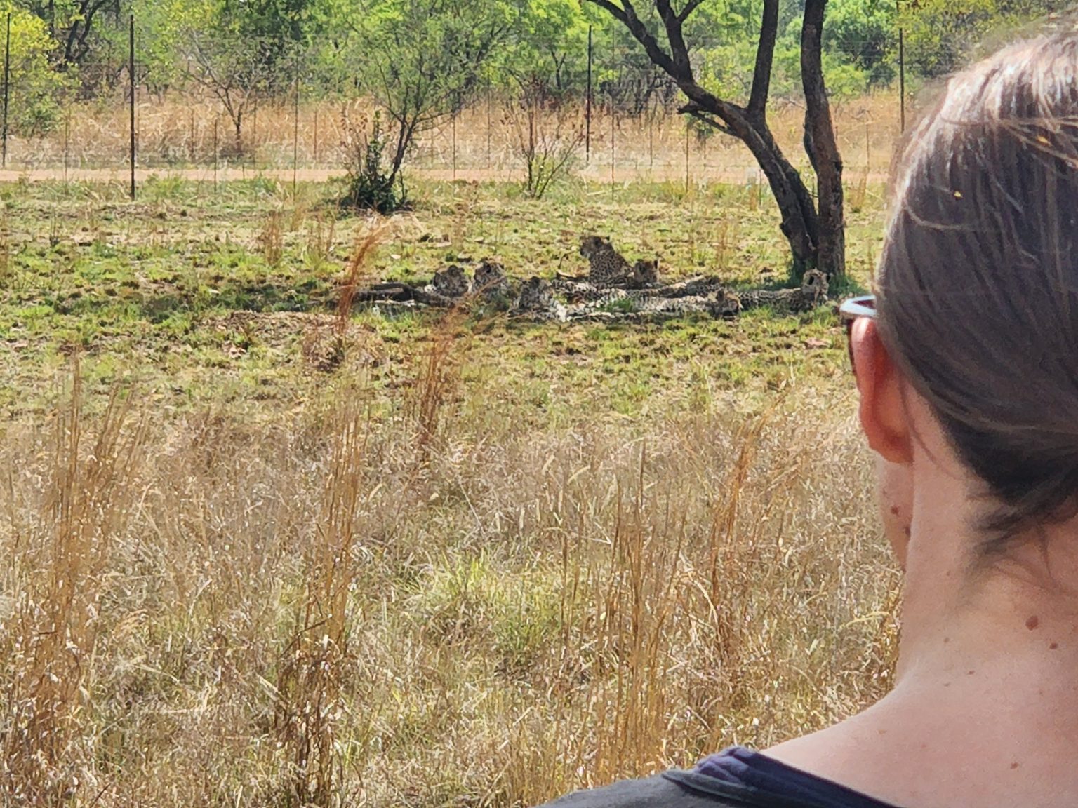 Guided Bush Walk (Morning Only) - Dinokeng Activities